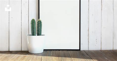 녹색 선인장 식물 사진 Unsplash의 무료 프레임 이미지