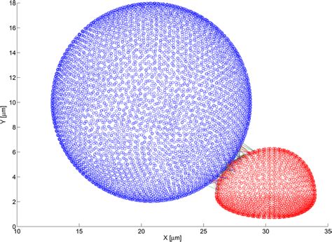 Bond Formation Between Nearby Cells Using The Fine Computational
