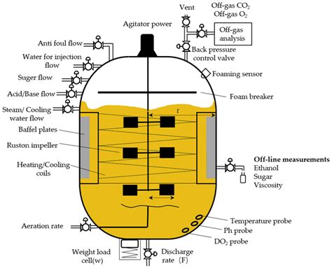 Fermentation Process Diagram Diagram Fermentation Process Stock