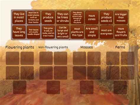 Plant Classification Group Sort