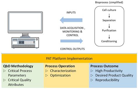 Bioprocess Control Current Progress And Future Perspectives
