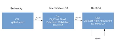 Understanding Tls Certificates With Nginx And Ansible Part I Leftasexercise
