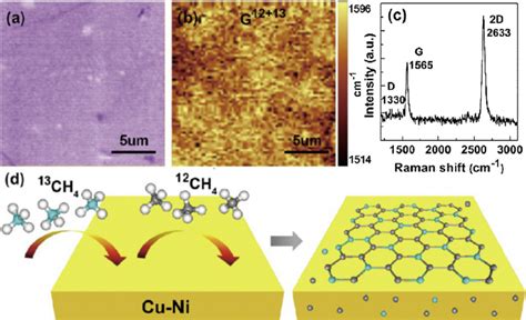 a optical micrograph of a monolayer graphene transferred onto a 285 download scientific