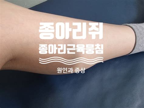 종아리쥐 종아리쥐났을때 자다가 나는 경우 종아리근육뭉침 네이버 블로그