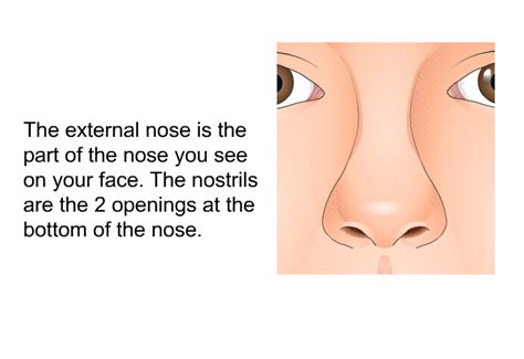Nose Disorders