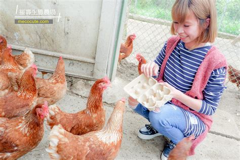 【台中農場】福壽生態農場，福壽生態牧草蛋、寵物食品、穀類食品等等多樣食品生產 陳小可的吃喝玩樂