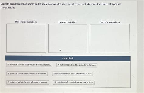 Solved Classify Each Mutation Example As Definitely