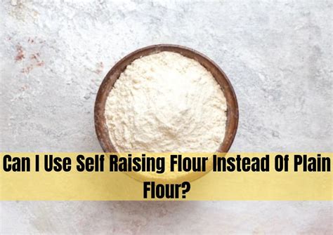 Can I Use Self Raising Flour Instead Of Plain Flour