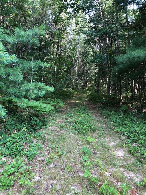 Ray 646 Connector Michigan Gps Trail Map Conditions And Difficulty