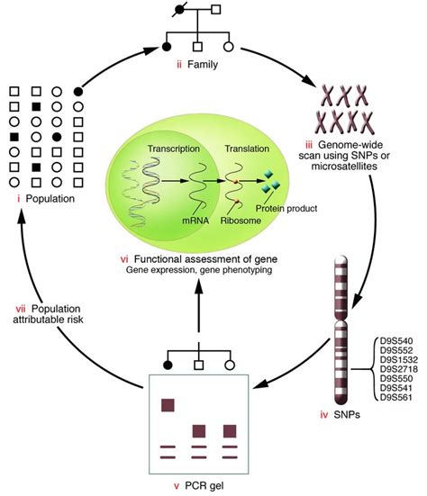 Genetic Mapping