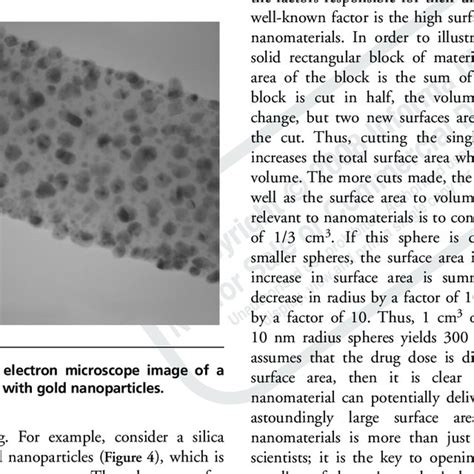A Scanning Electron Microscope Image Of Silica Nanoparticles Download Scientific Diagram