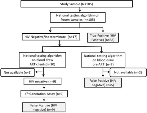 Testing Procedure Used To Classify Viral Load Undetectable Clients As