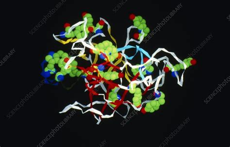Molecular Structure Of The Protein Trypsin Stock Image A6170006