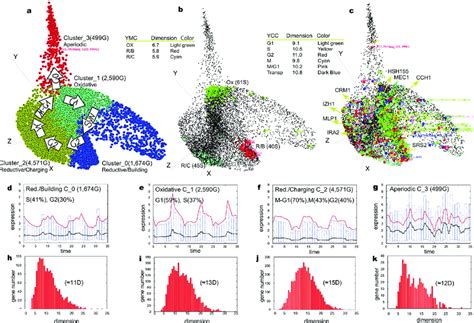 Clusters For The Yeast Metabolic Cycle Ymc Dataset 9 334g 36 Time Download Scientific