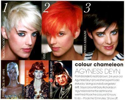Bluendi Linda Evangelista Hairstyle Pictures