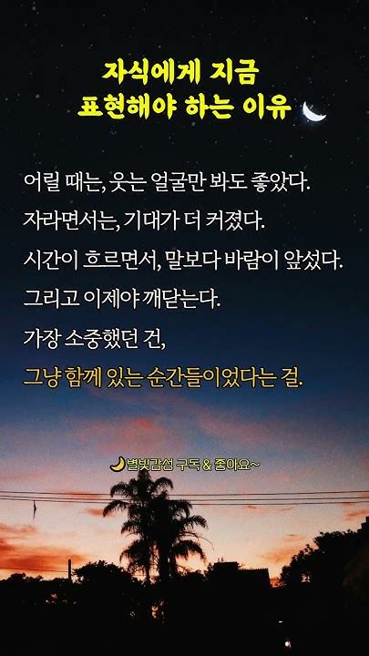 자식에게 지금 표현하지 않으면 평생 후회할 수도 있습니다 Youtube