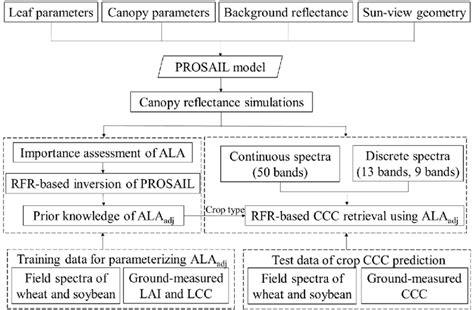 Workflow Of Crop Canopy Chlorophyll Content Ccc Retrieval And Download Scientific Diagram