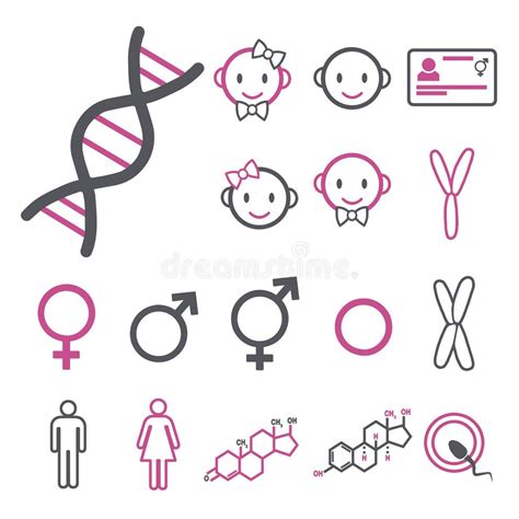 Male Female Dna Stock Illustrations 1670 Male Female Dna Stock