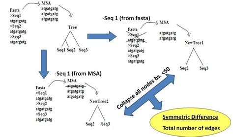 1 Strategy For Determining Robustness Of Multiple Sequence Alignments Download Scientific