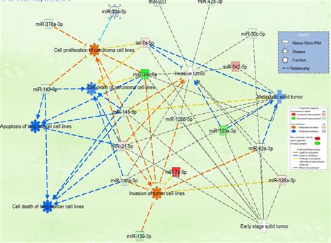 Ipa Network Emphasizes The Interconnection Of Mir 34c 5p With Key
