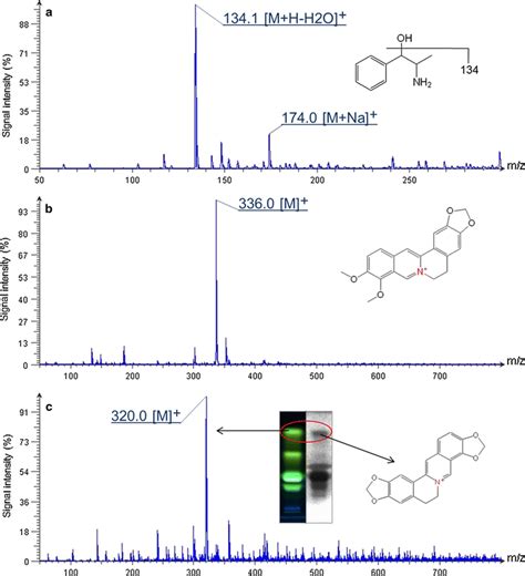 Hptlc Ms Spectra Of Alkaloids Exemplarily Shown For Nep A And Br Download Scientific Diagram