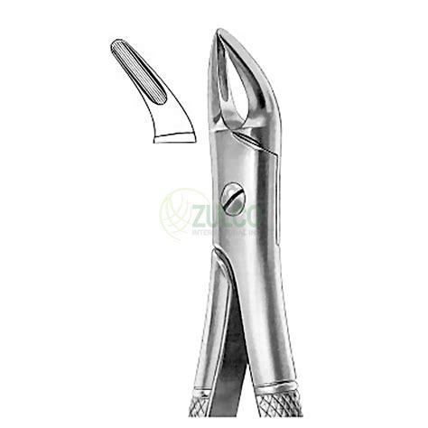 Extracting Forceps English Pattern Fig 76 Upper Roots