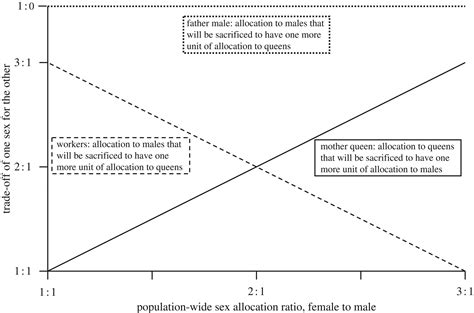 Sex Allocation Conflict In Insect Societies Who Wins Biology Letters