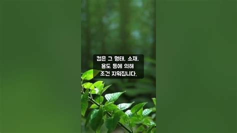 운명을 넘어선 자유 당신의 진정한 본질 깨달음 명언 자기수행 내면의평화 동기부여 긍정적마인드 마음챙김 좋은글 긍정의말 명상 Youtube