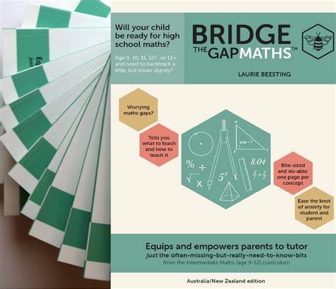 Bridge The Gap Math™ Engaging Minds