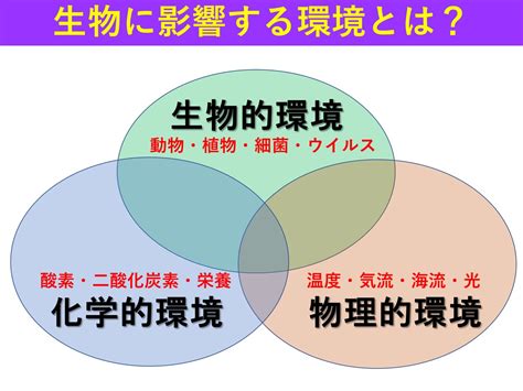 「生命」と「自然環境」について 海その”i”