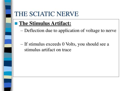 Ppt The Frog Sciatic Nerve Powerpoint Presentation Free Download Id6789675