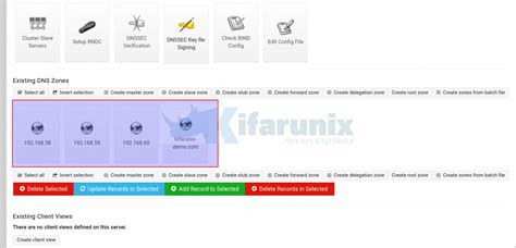 Configure Bind Dns Server Using Webmin On Debian 11