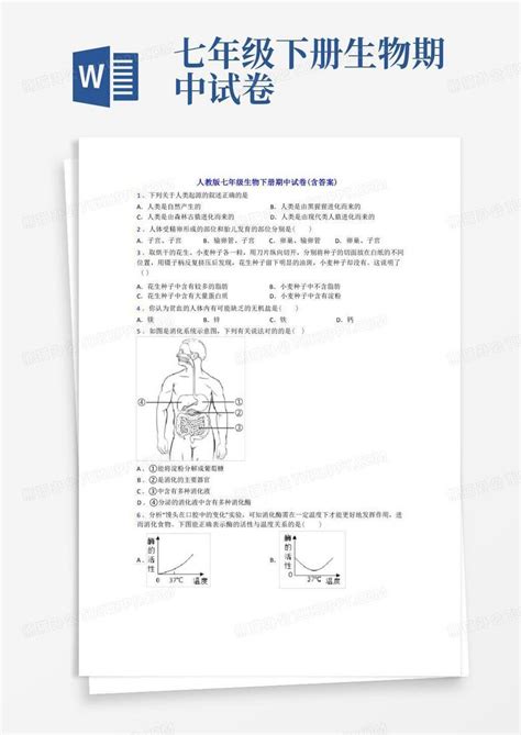 人教版七年级生物下册期中试卷 含答案 Word模板下载 编号lvbdwjow 熊猫办公