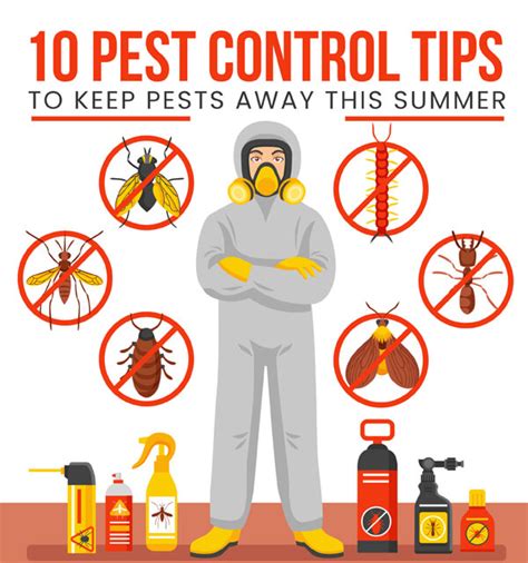 bugs eradication [infographic]