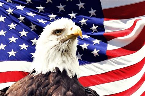 리먼 브라더스 사태 부동산 버블이 몰고온 금융위기 네이버 블로그