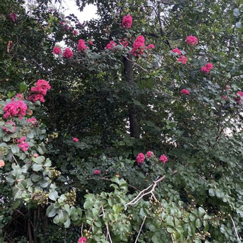 Stream Cccccccccccccccccccccccccccccccccccccccccccccccccc Music