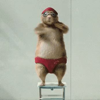 Hamster Meme S