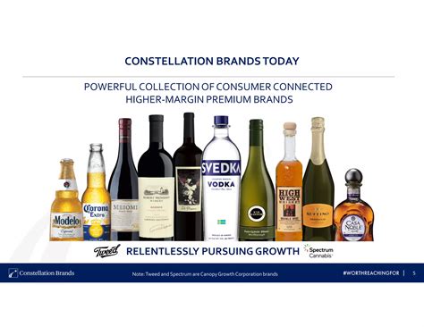Constellation Brands Q2 Fy21 Investor Overview Presentation Ppt