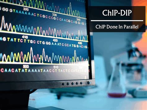 chip dip multiplexing method maps hundreds of proteins to dna decoding gene expression