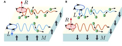 Figure 1 From Gate Tunable Circular Phonon Dichroism Effect In Bilayer