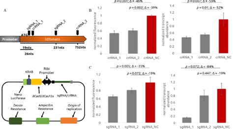 Silencing By Crispr Interference Crispri A Map Of Dcas Krab