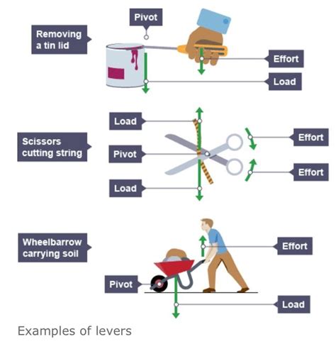 Types Of Levers Physics Lessons Simple Machines Teaching Science