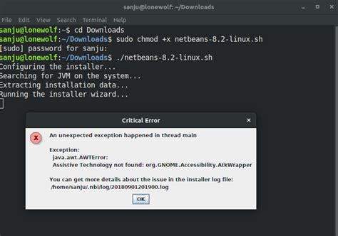 Software Installation Error While Installing Netbeans 82 In Ubuntu