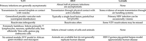 Comparison Of Characteristics Of Vzv And Hsv Download Scientific Diagram