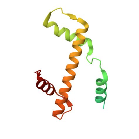 Rcsb Pdb 9ca7 Cryo Em Structure Of Human Srcap Nucleosome Complex In The Fully Engaged State