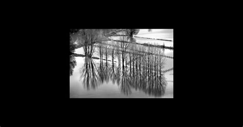 Naked Nature Achaia Sticker Teepublic