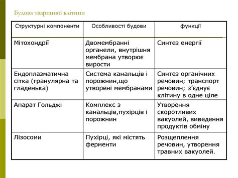 Будова тварин Клітини тканини презентация онлайн