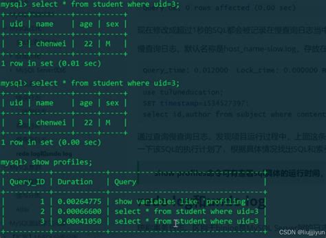 Mysql 慢查询日志 Csdn博客