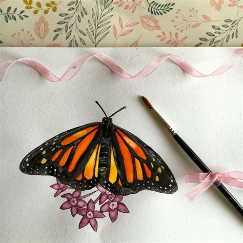 How To Draw Butterfly With Poster Colour