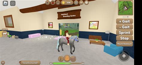 Just Some Pictures Of My Mare And Her Stats Cause Im Proud Of Her R